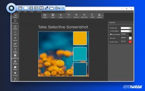 How to Take Selective Screenshot in Windows 11